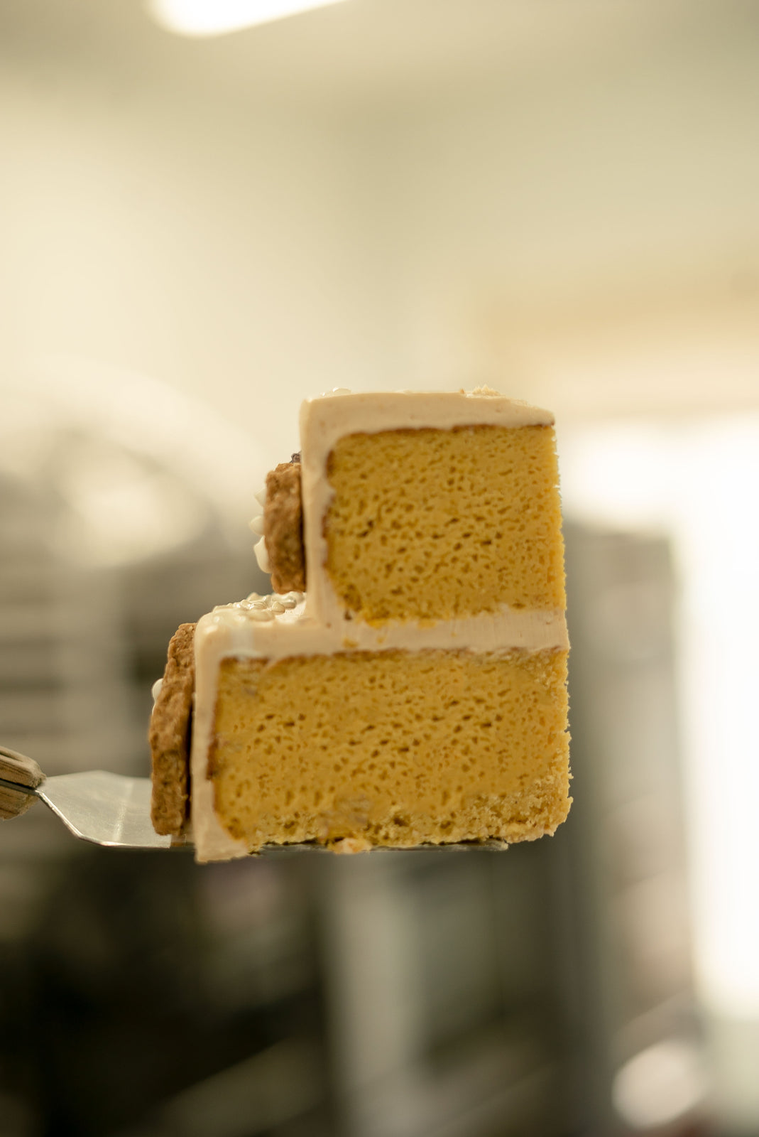 ABOUT – Bones Dog Bakery