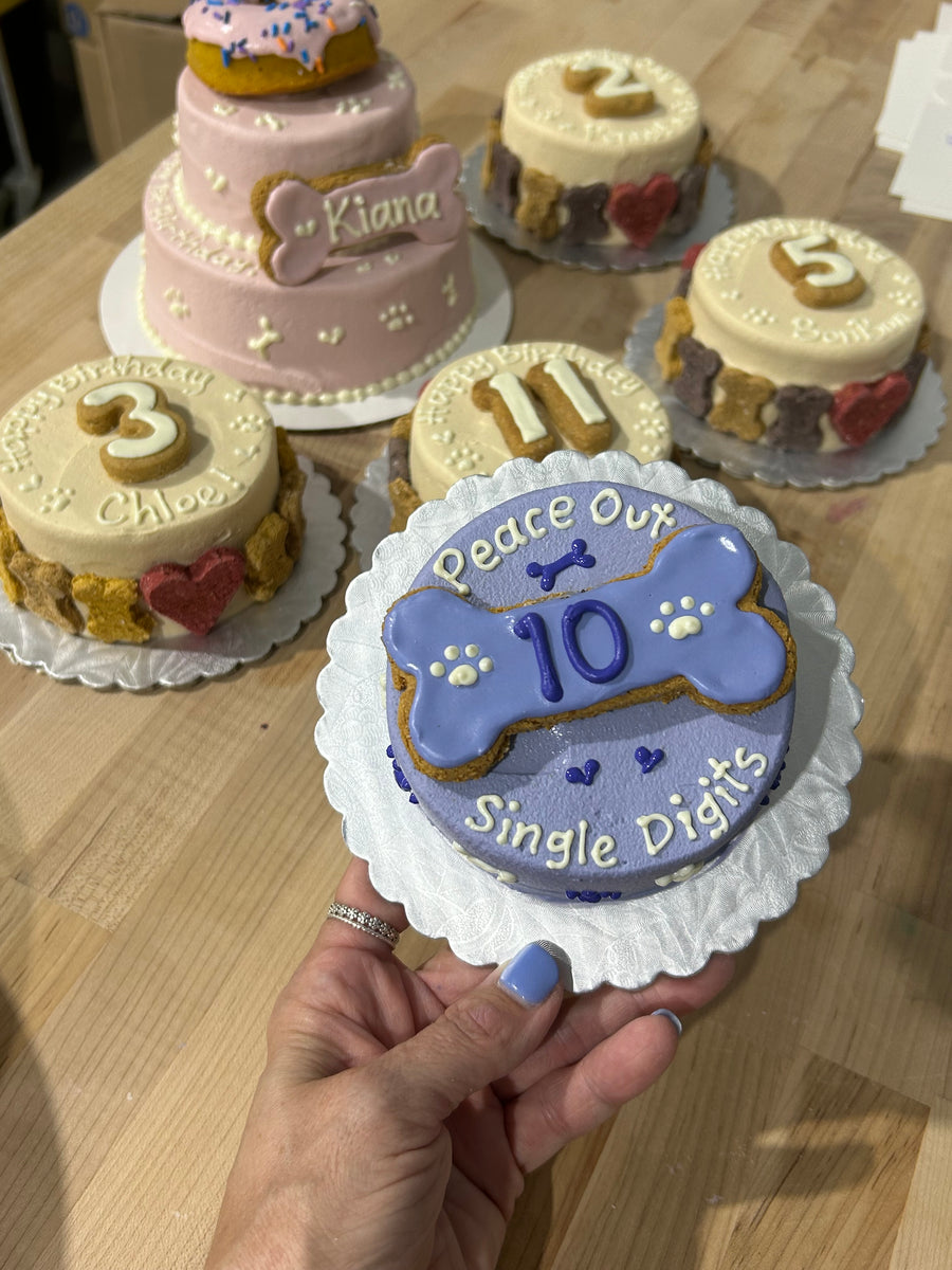 Indigo Celebration Cake – Bones Dog Bakery